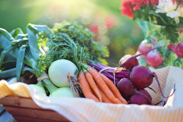 Clinical Nutritionist Degree Weekly Health Now clinical-nutritionist-degree-weekly-health-now
